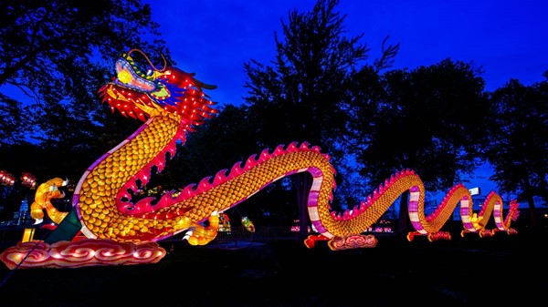 WildLanterns Returns to Woodland Park TODAY!! - Fremocentrist